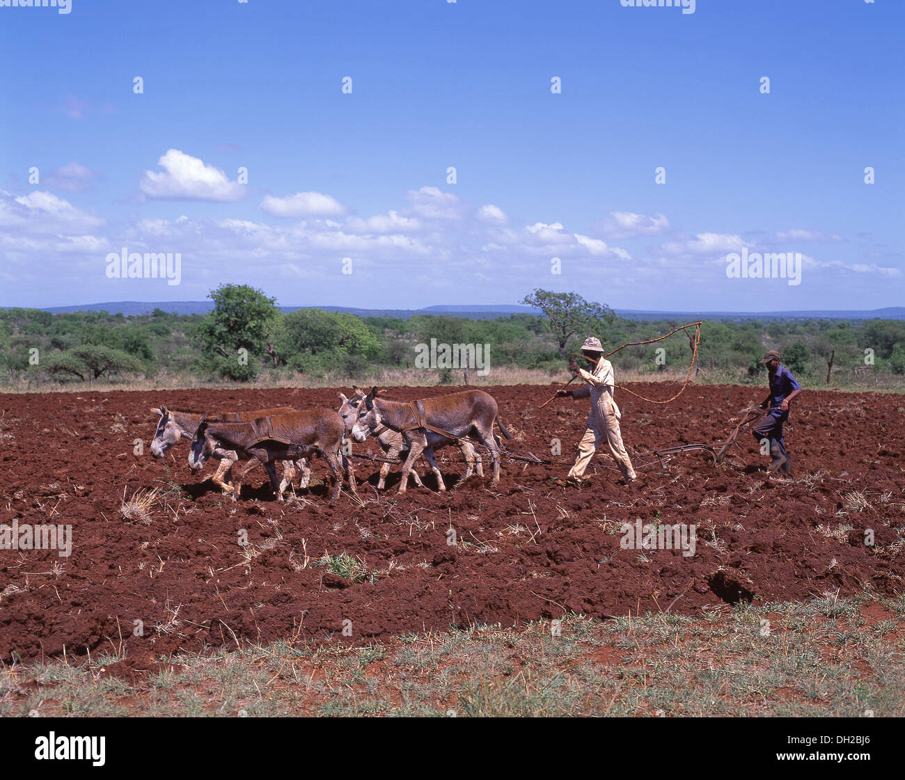 Lubombo district hi-res stock photography and images - Alamy