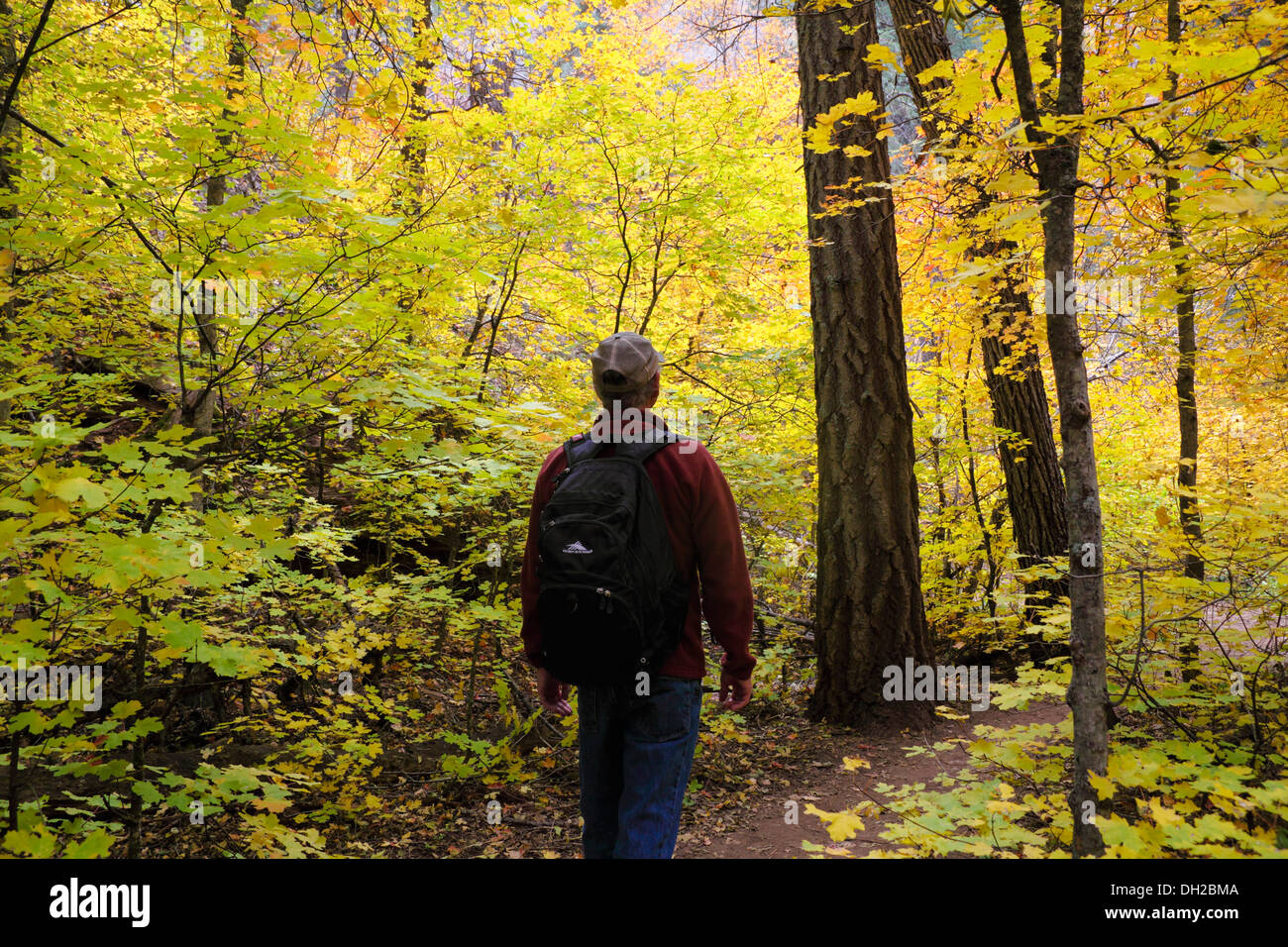 West fork trail hi-res stock photography and images - Alamy