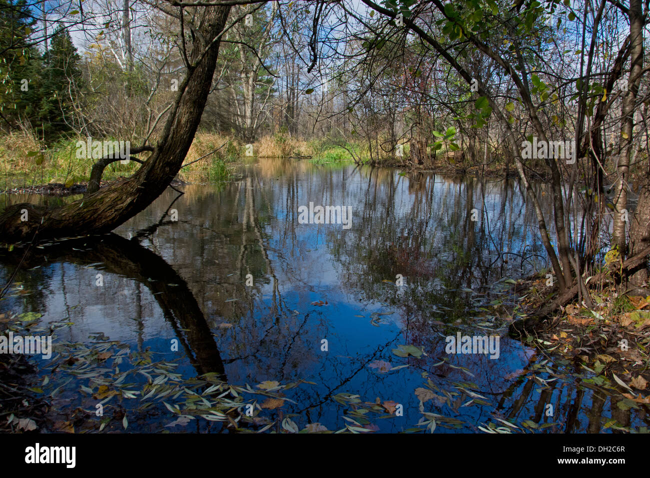 A pond in Hudson, Quebec Stock Photo - Alamy