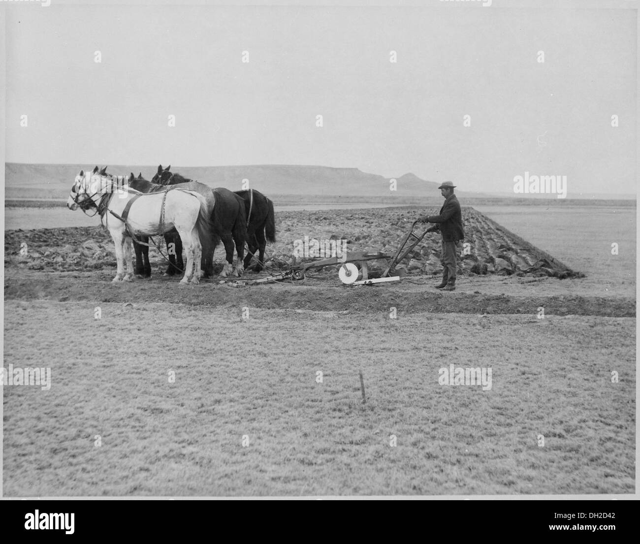 Turning The First Sod High Resolution Stock Photography and Images - Alamy