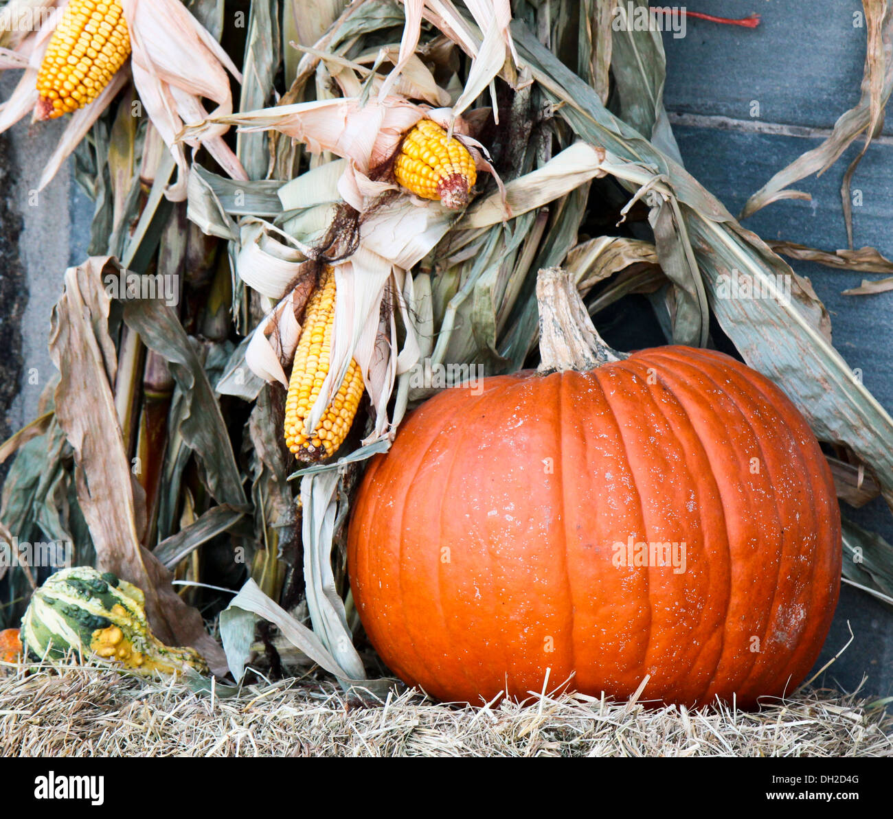 Hay corn hi-res stock photography and images - Alamy