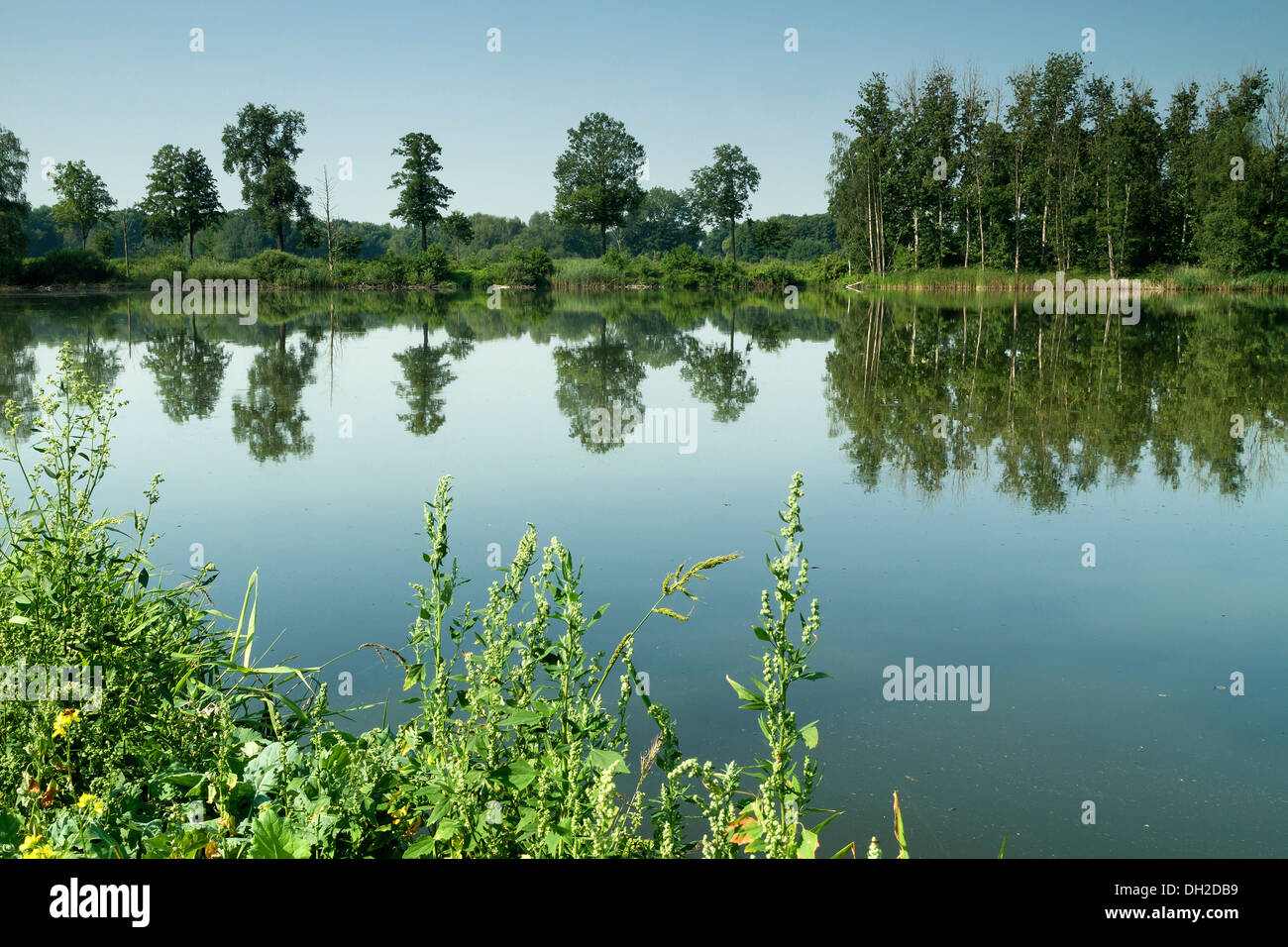 Upper ponds hi-res stock photography and images - Alamy