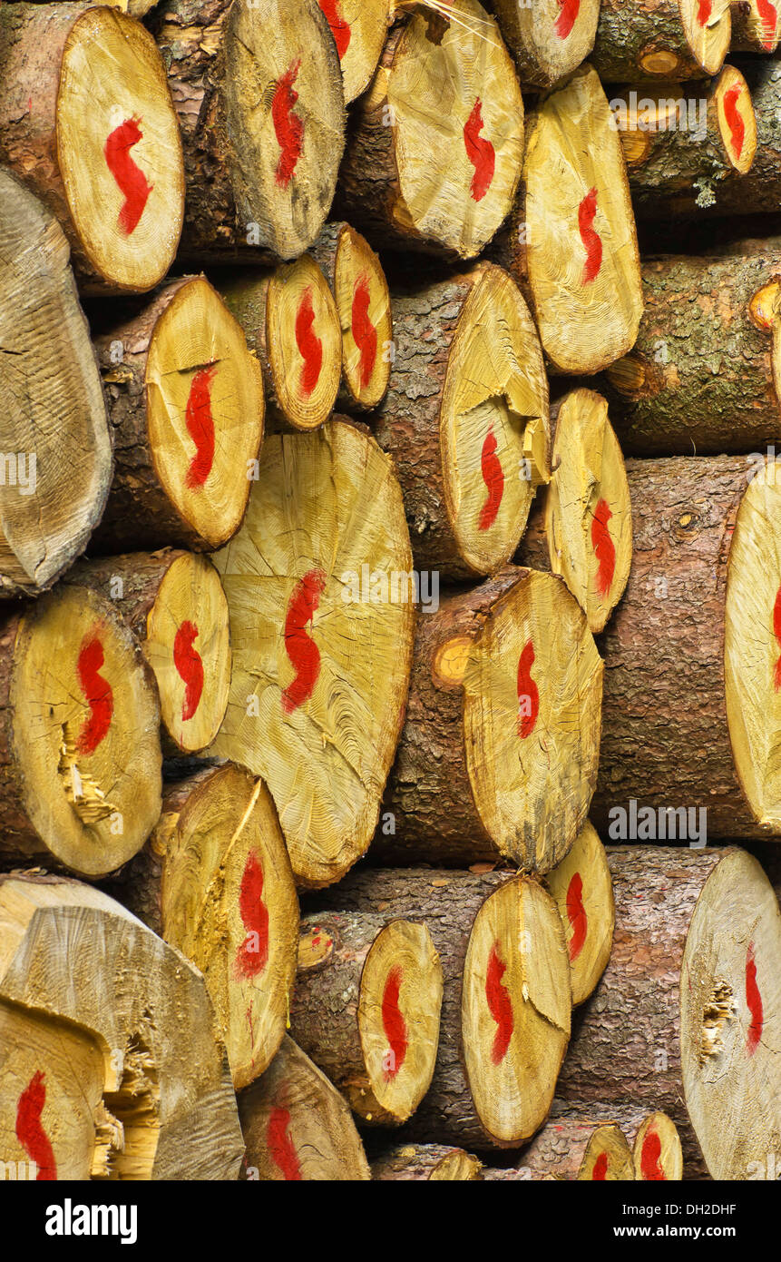 Stacked and labeled logs, Kufstein, Tyrol, Austria, Europe Stock Photo ...