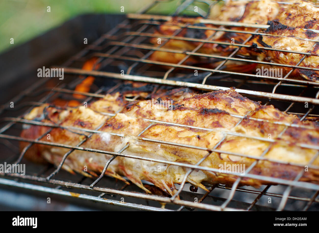 Campfire fish hi-res stock photography and images - Alamy