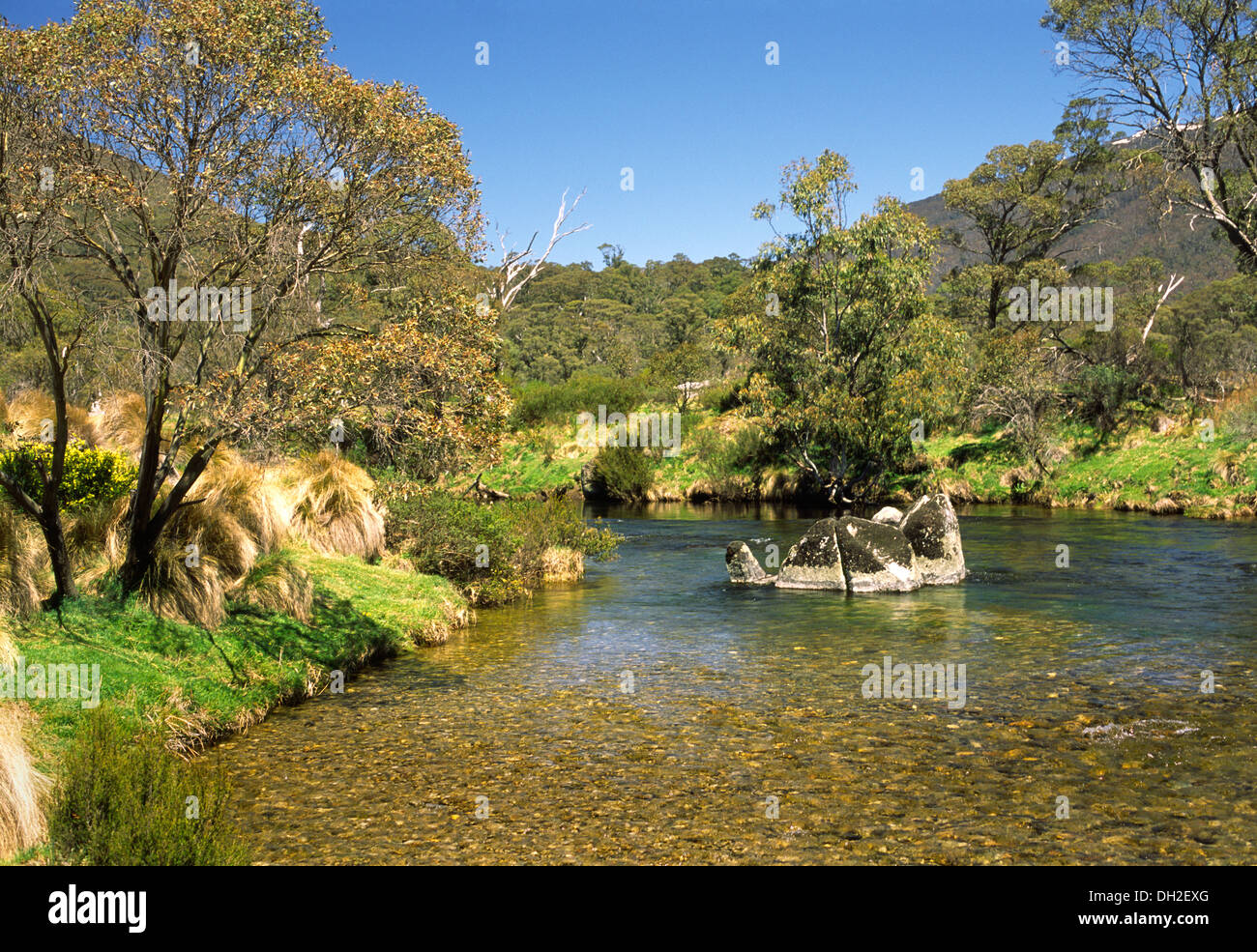 Australia: Thredbo River, Snowy Mountains, NSW Stock Photo - Alamy