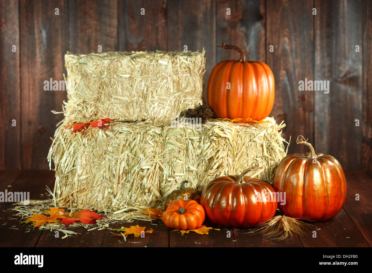Rustic Fall Themed Scene With Pumpkins on Wood Grunge Background Stock ...