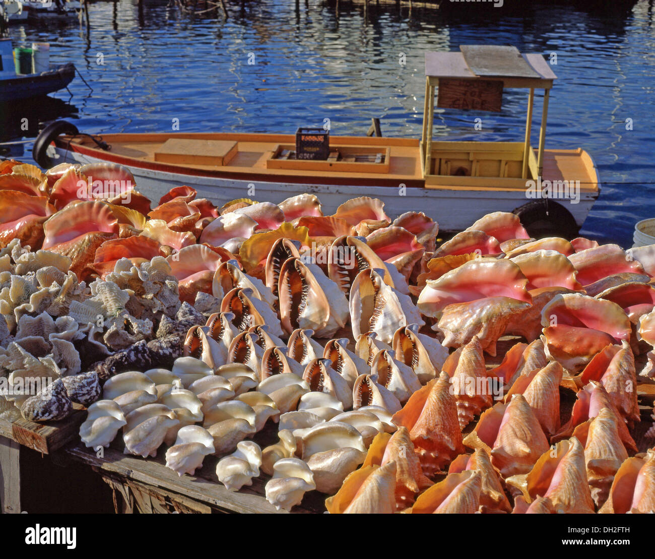 Sea shell stall on harbour, Nassau, New Providence, Bahamas Stock Photo ...