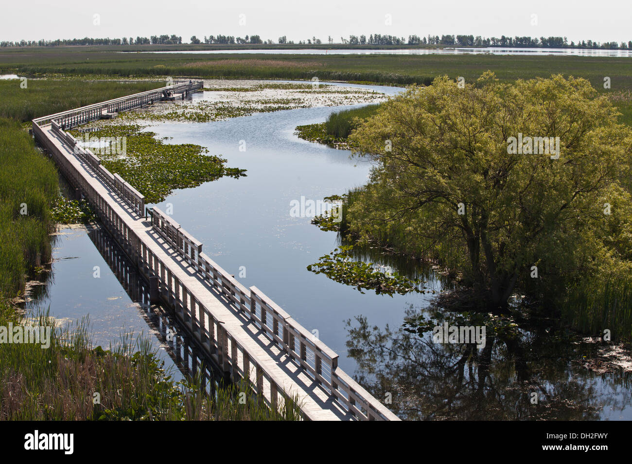 Point pelee hi-res stock photography and images - Alamy
