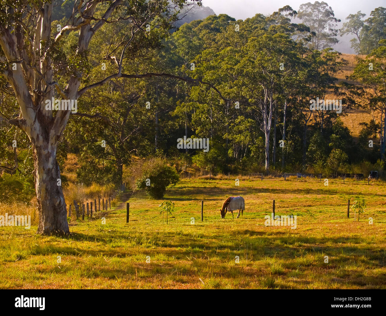 Australia: Rural scene, Mid-north coast, New South Wales Stock Photo ...