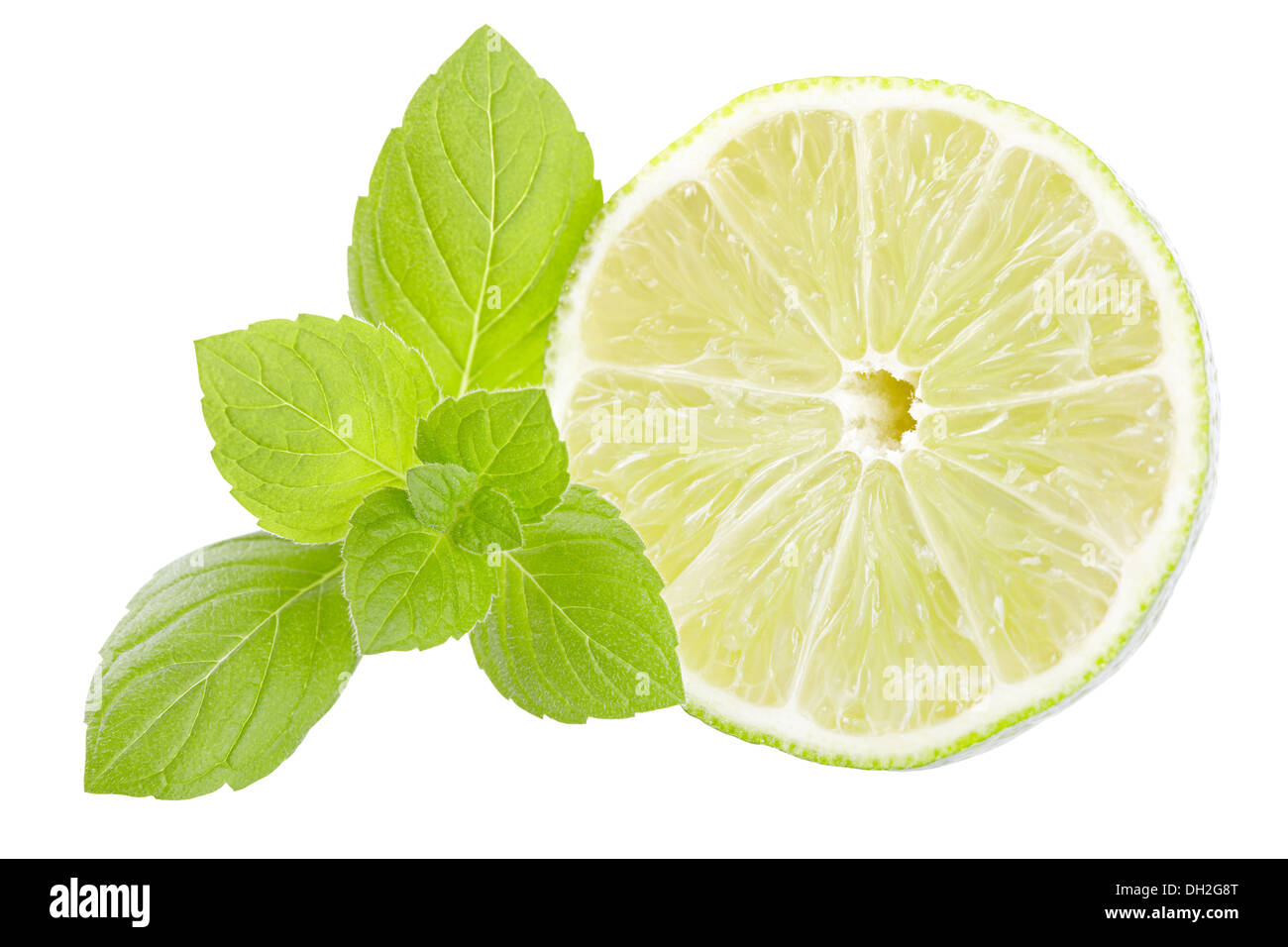 Lime share Cut Out Stock Images & Pictures - Alamy