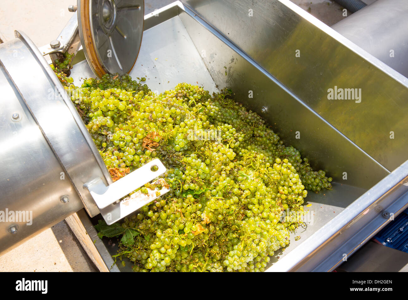 Crusher destemmer hi-res stock photography and images - Alamy