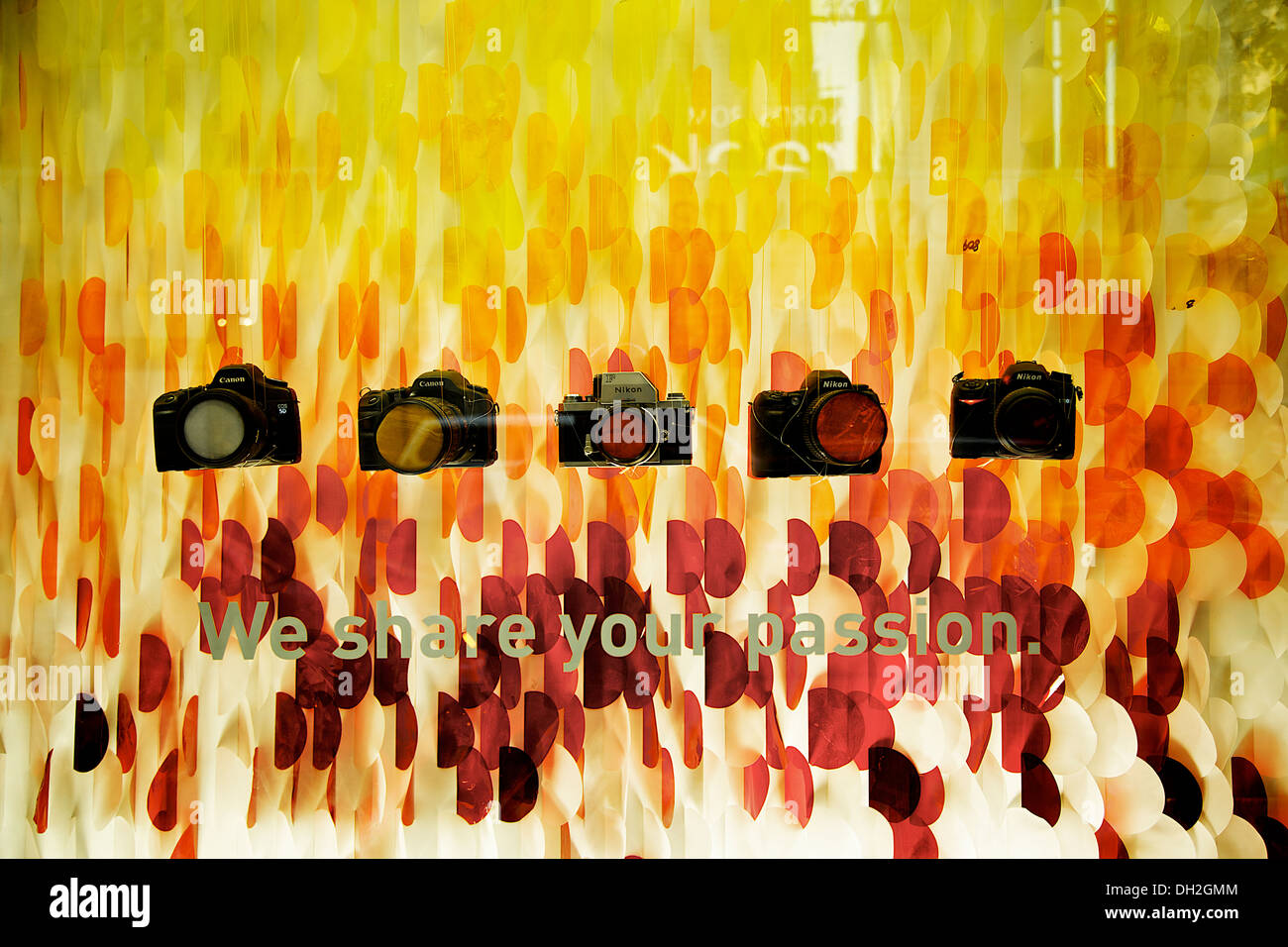 cameras in showcase Stock Photo - Alamy