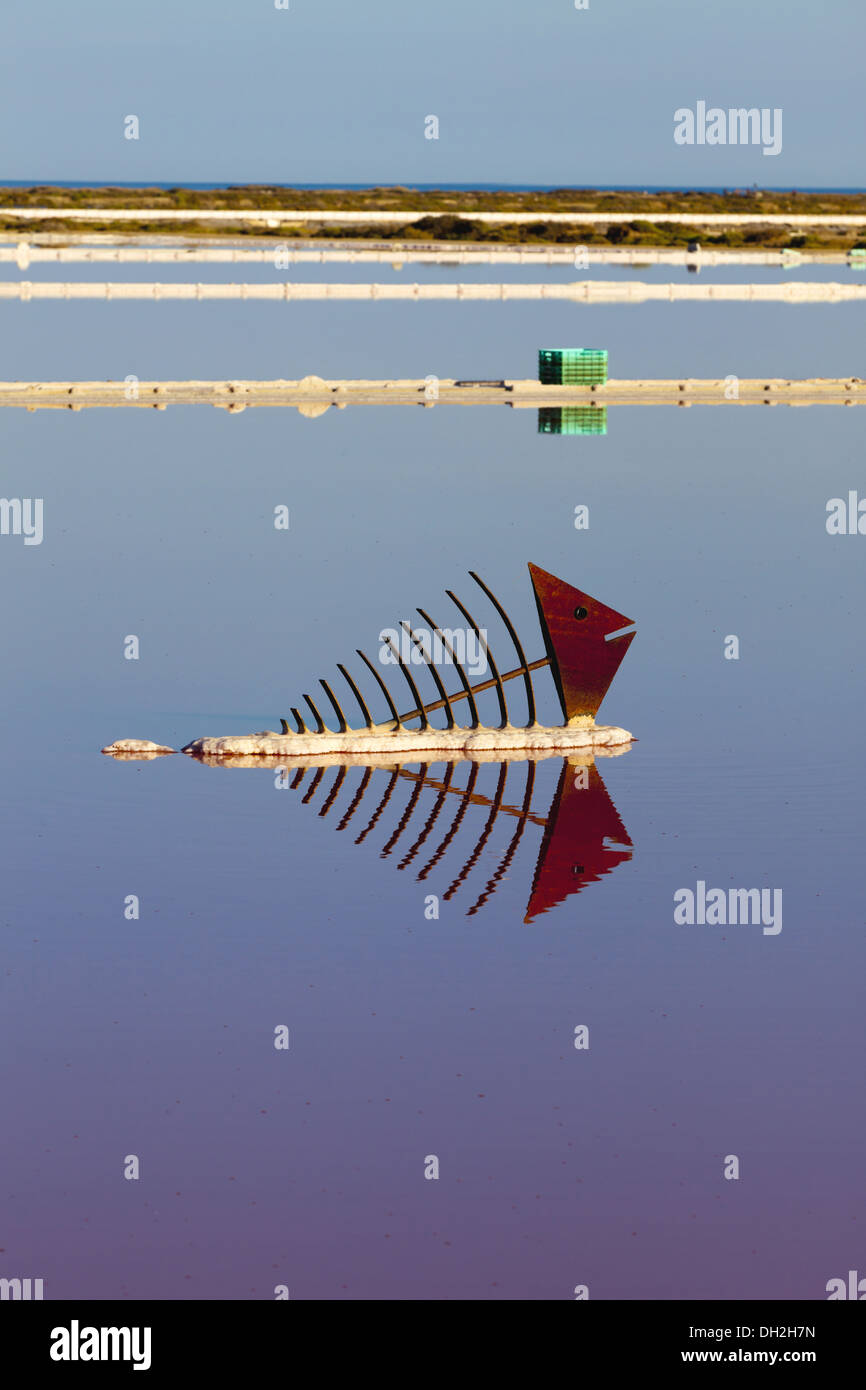 View over the water surface of a reddish discolored salt basin with a ...