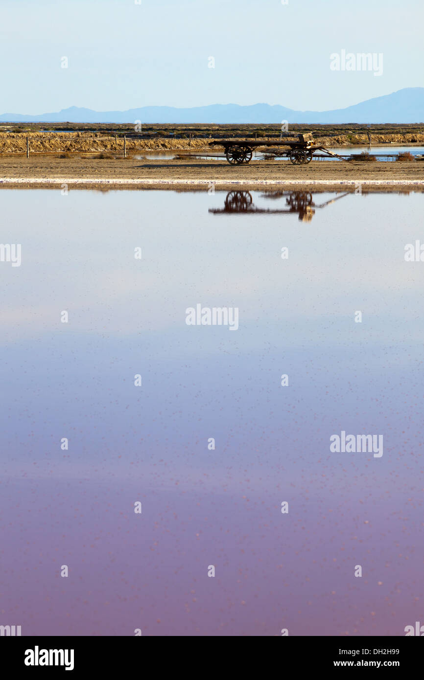 View over the water surface of a reddish discolored salt basin in ...