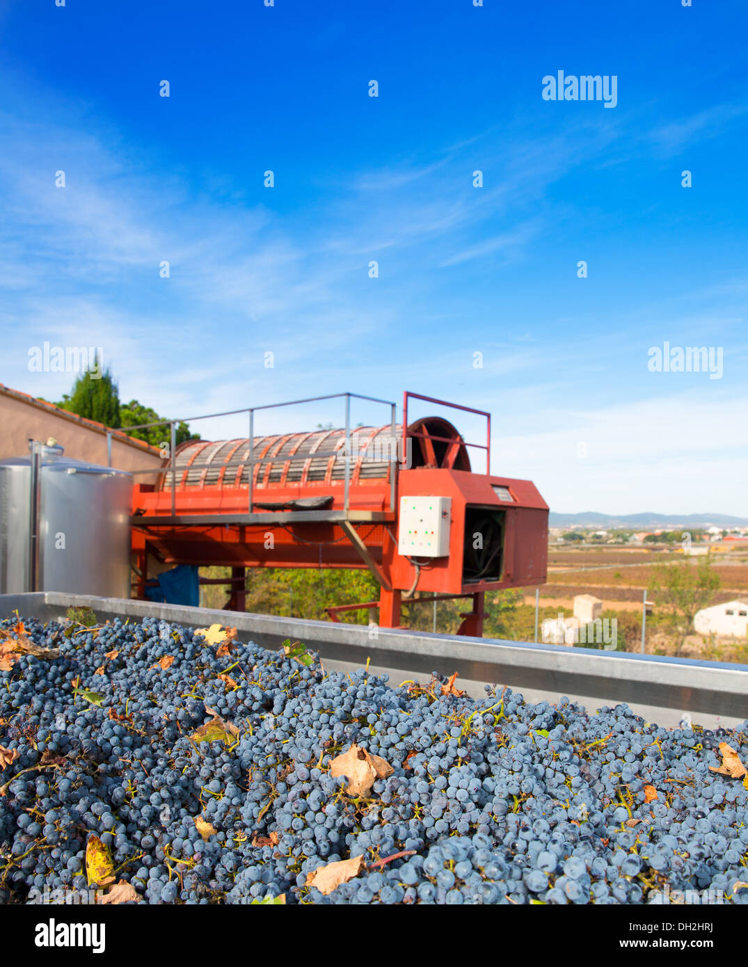 Press the grapes production hi-res stock photography and images - Alamy