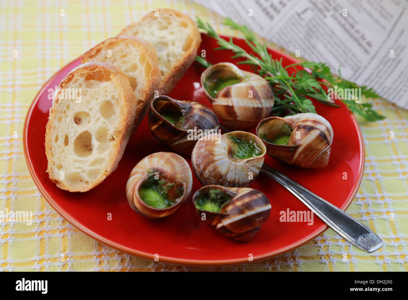 Escargot hi-res stock photography and images - Alamy