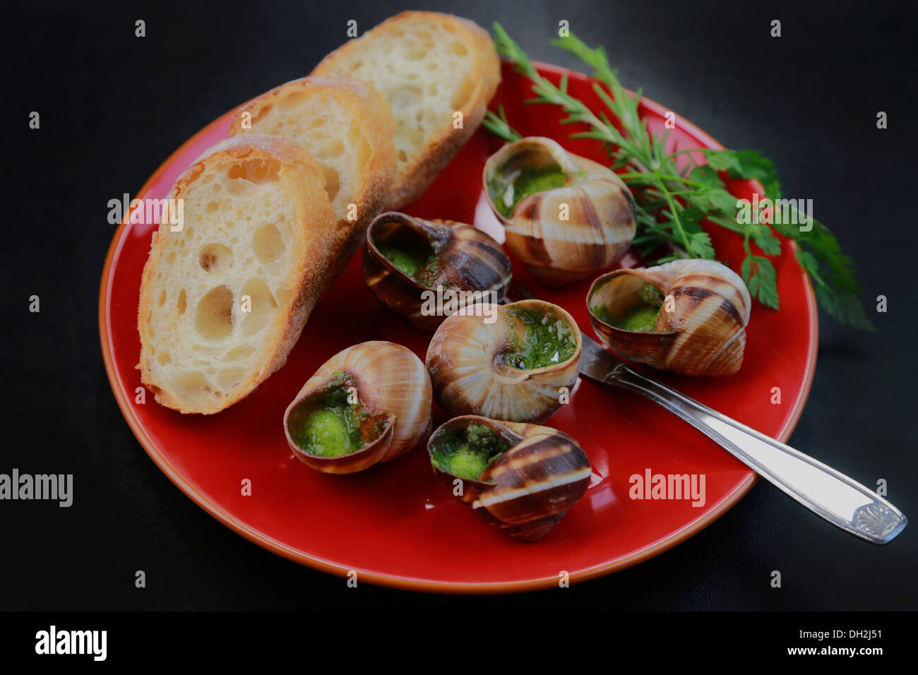 Escargot hi-res stock photography and images - Alamy