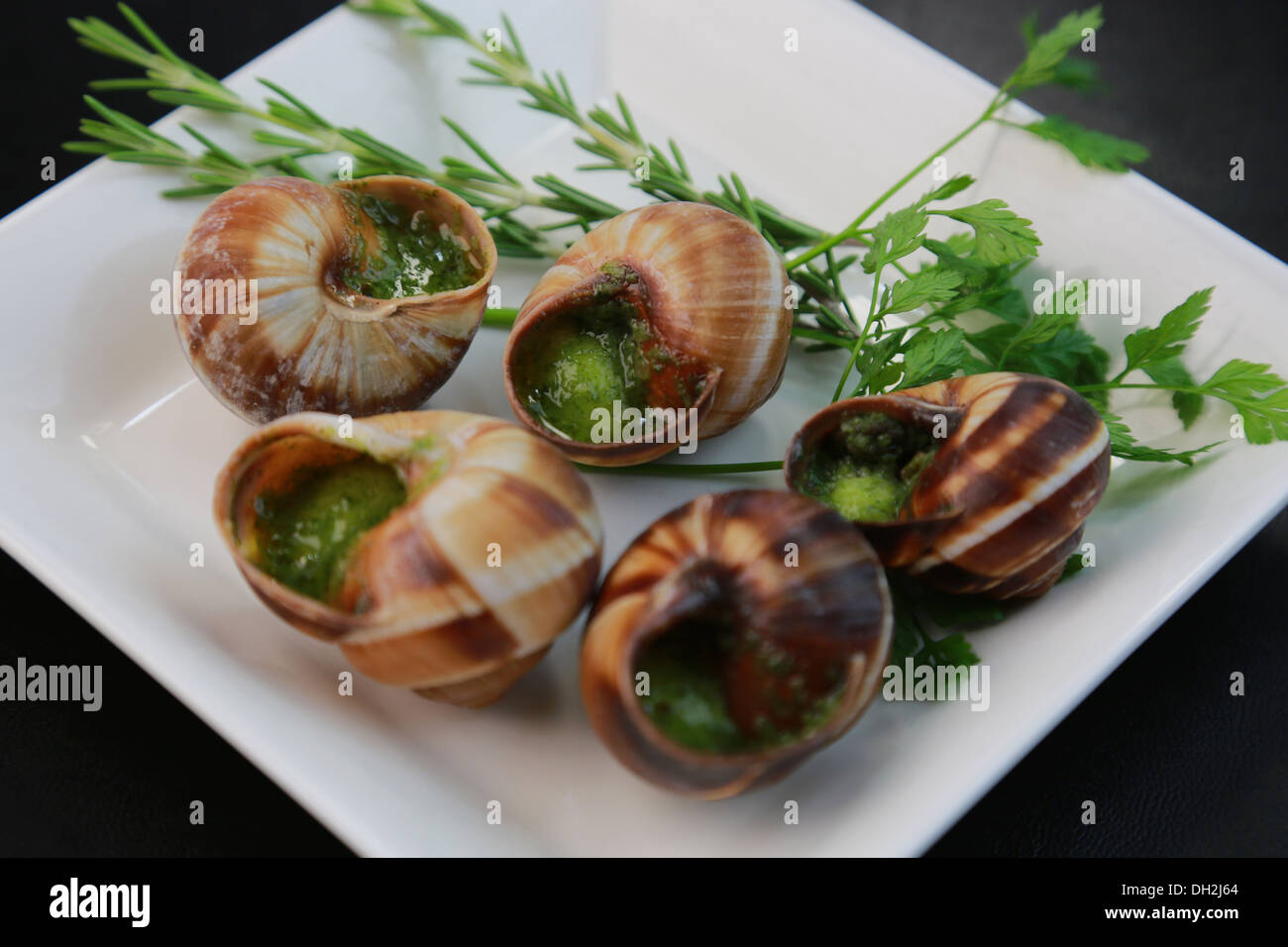 Escargot plate hi-res stock photography and images - Alamy