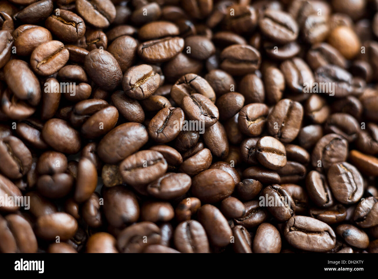 Close-up view of roasted coffee beans, on a white background Stock ...