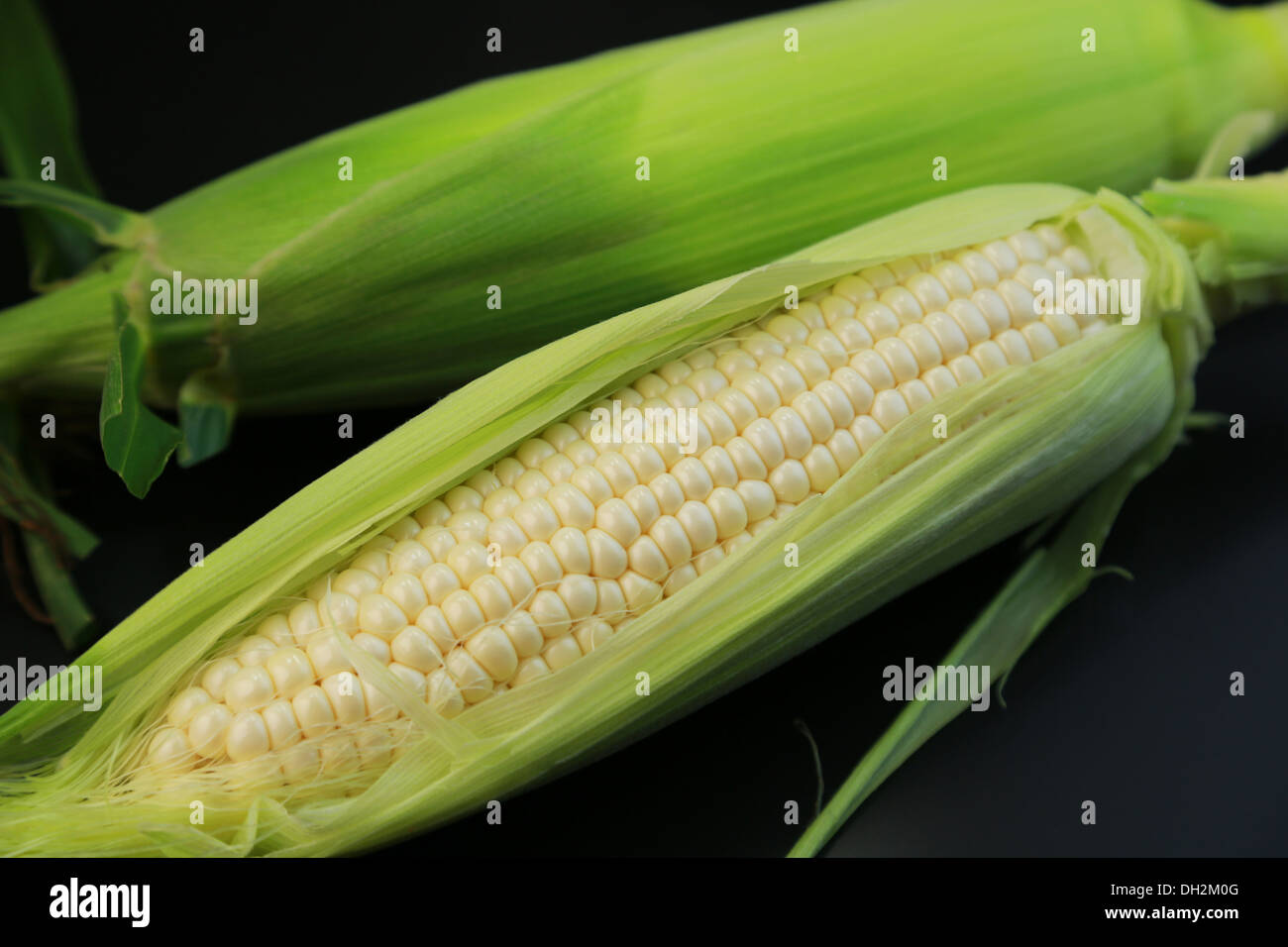 White corn hi-res stock photography and images - Alamy
