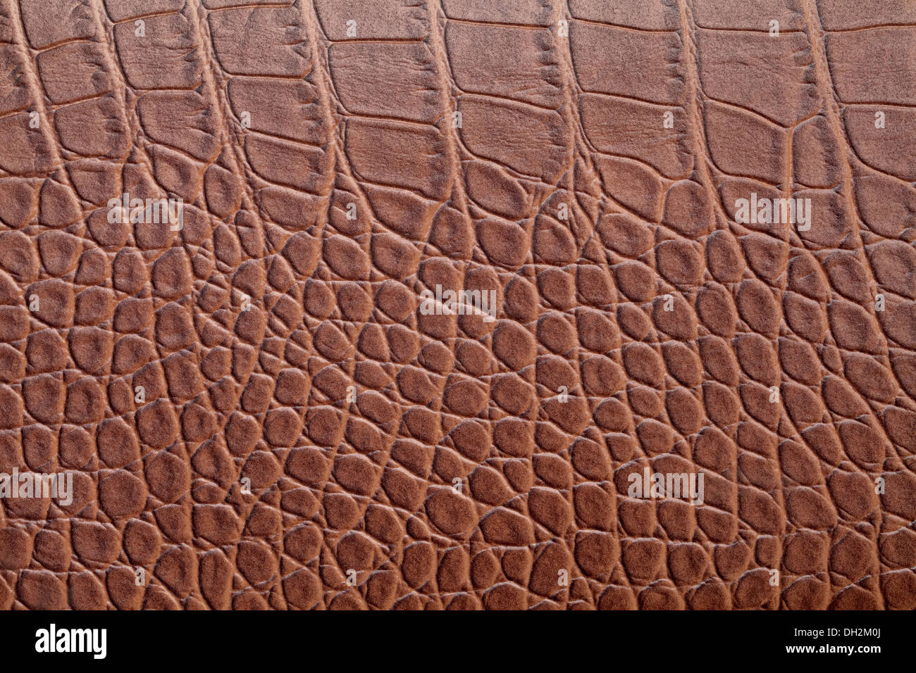 Crocodile skin texture hi-res stock photography and images - Alamy