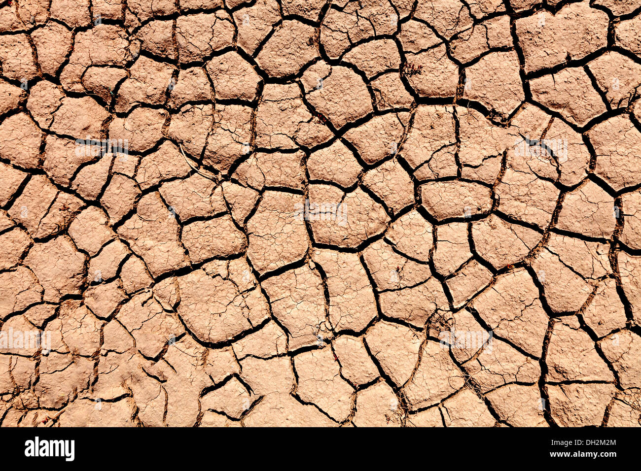 Parched Soil High Resolution Stock Photography and Images - Alamy
