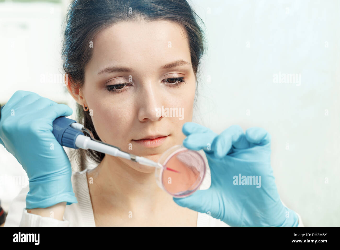 laboratory assistant girl in the genetics laboratory Stock Photo - Alamy