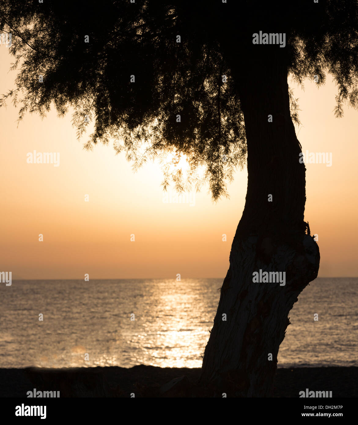 Tropical sunset sky pink costa rica hi-res stock photography and images ...