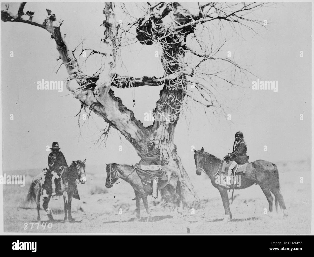 This photograph shows a traditional tree burial of the Oglala Sioux ...