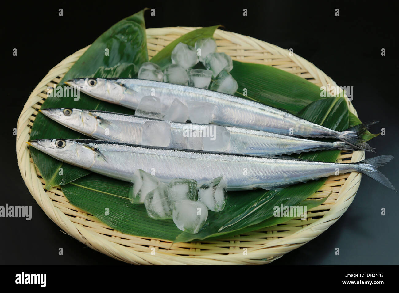 Saury hi-res stock photography and images - Alamy