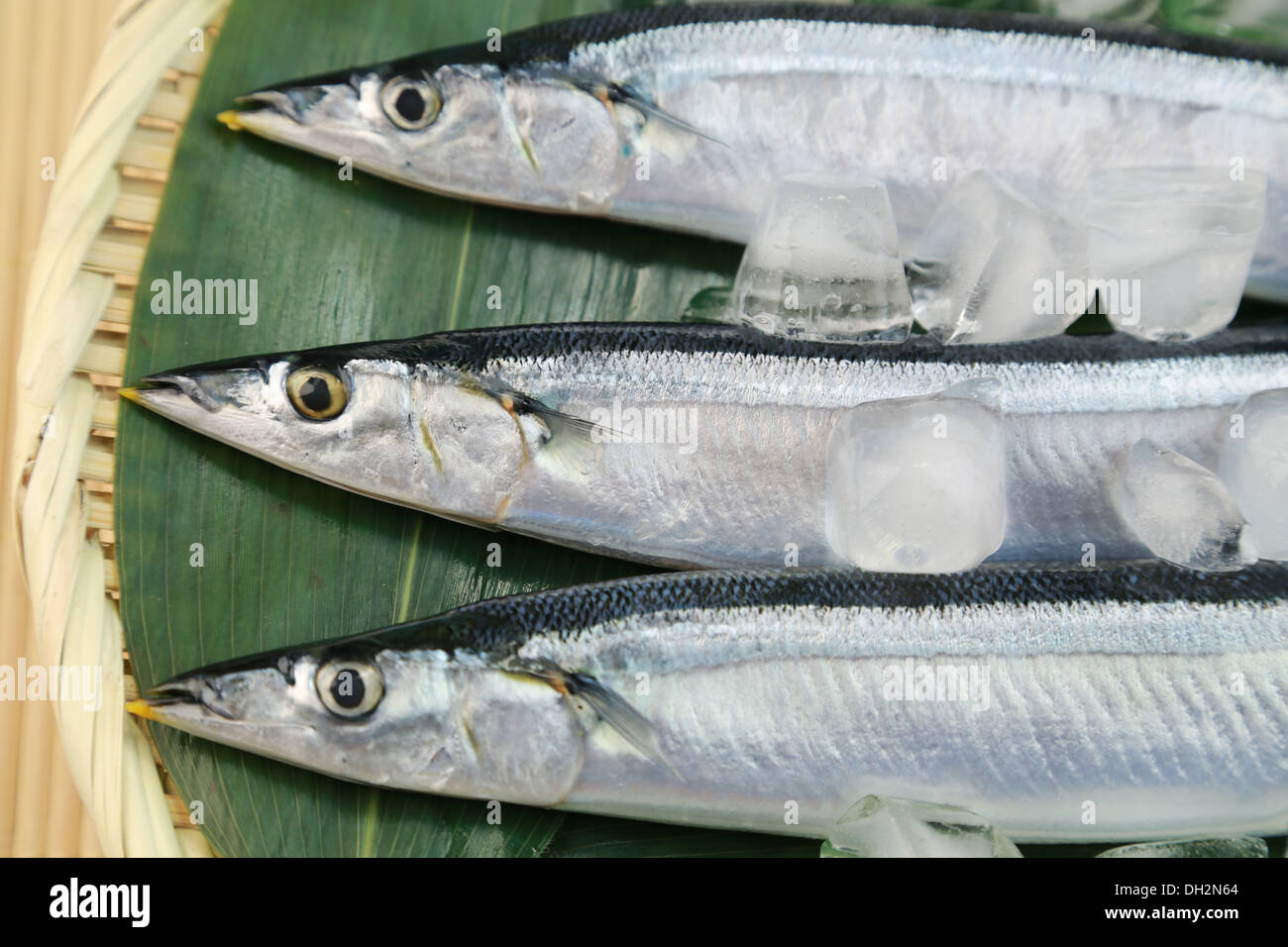 Pacific saury hi-res stock photography and images - Alamy