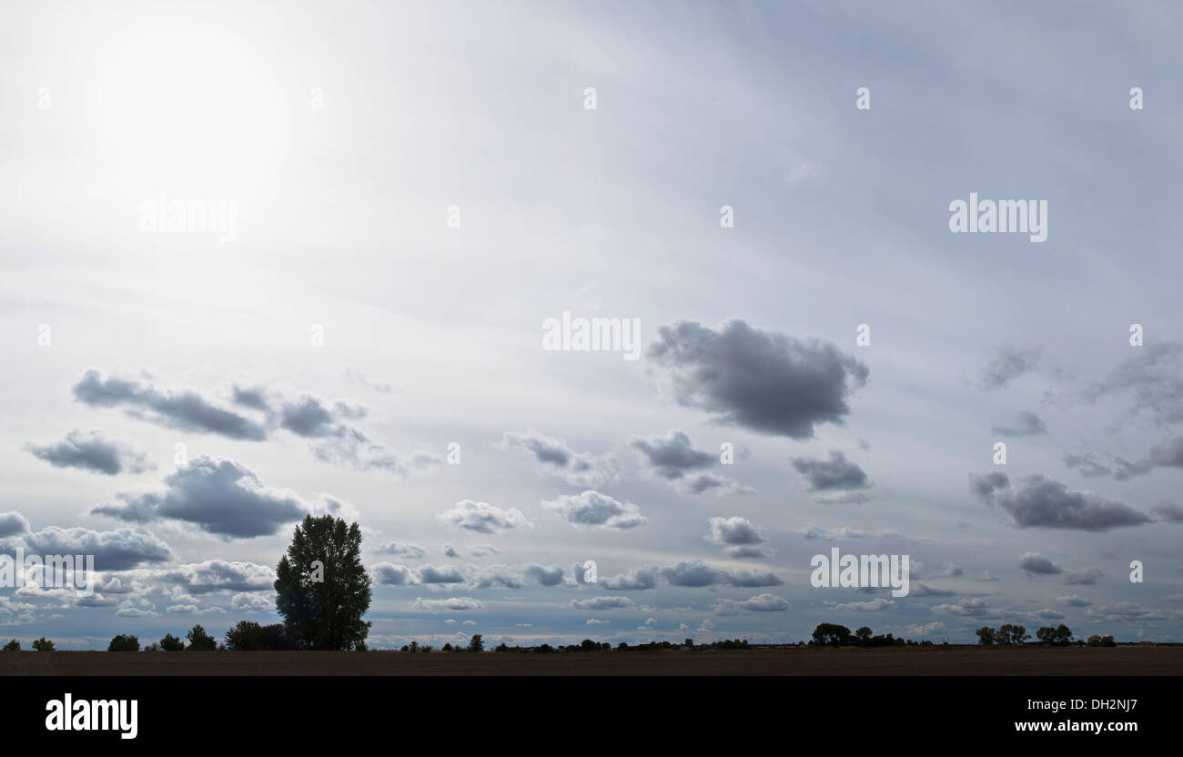 rural panoramic landscape or beautiful sky with clouds and horizon ...