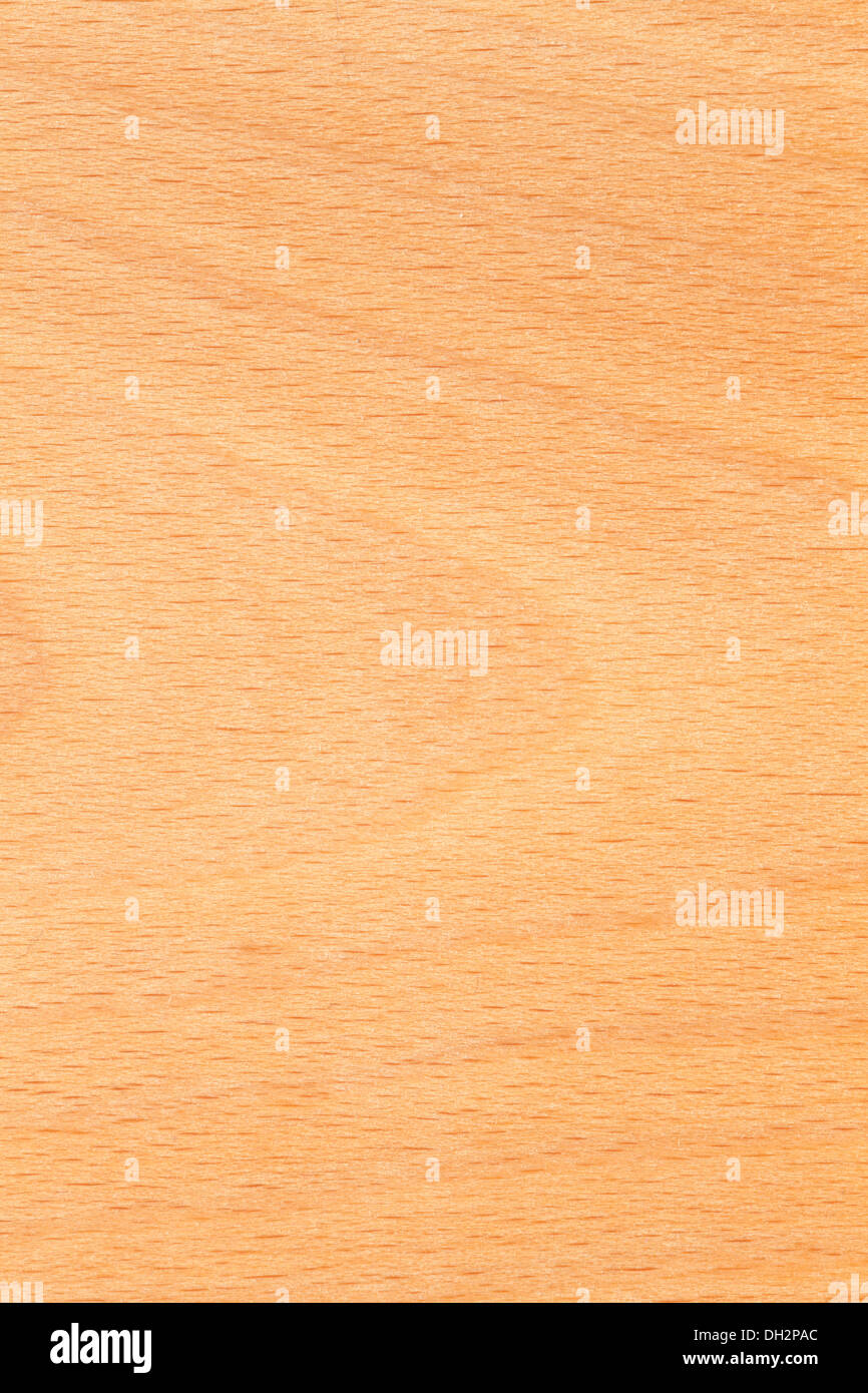 Beech wood texture hi-res stock photography and images - Alamy