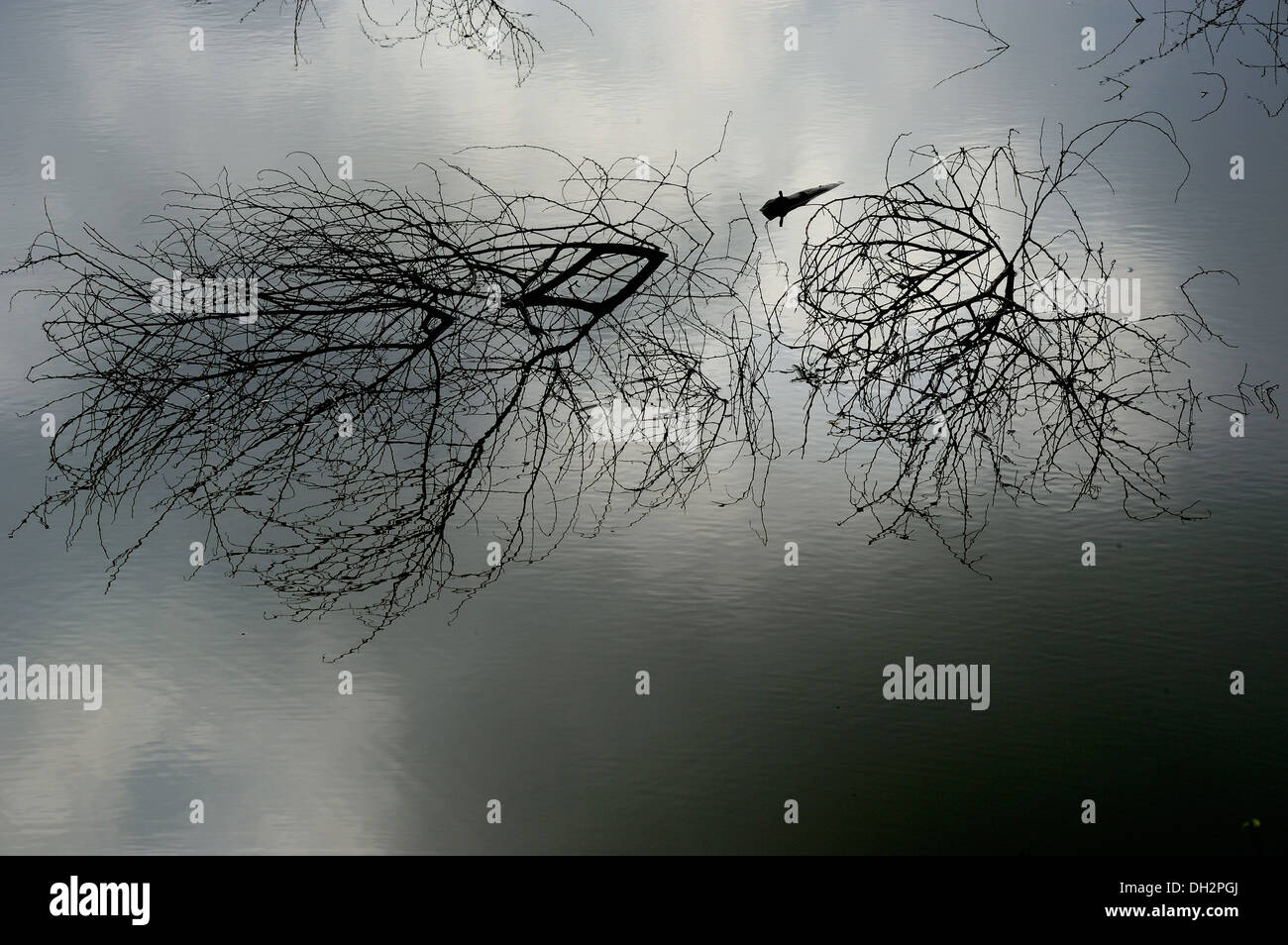 181037 hi-res stock photography and images - Alamy