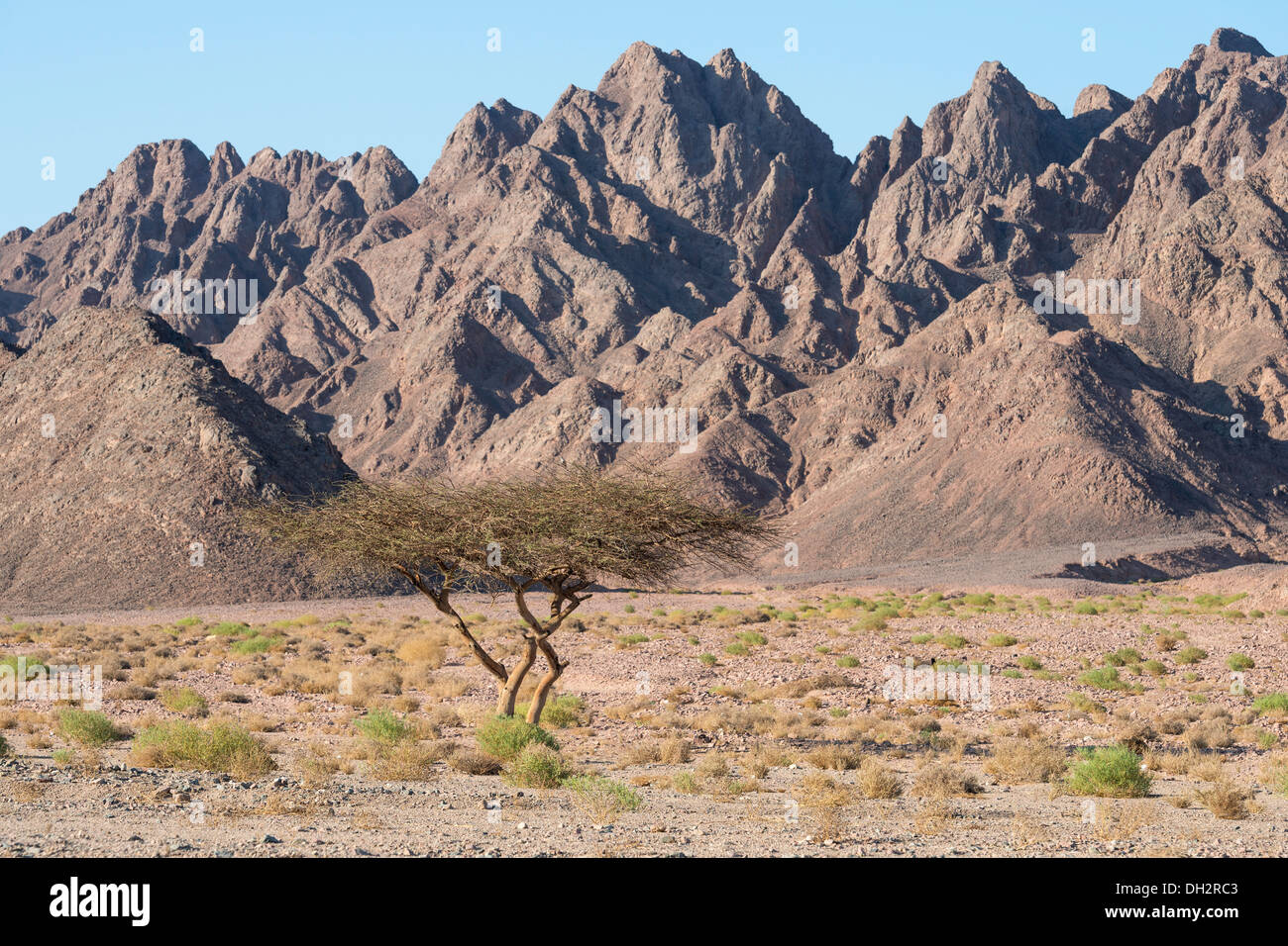 Impressions of Ras Muhammad National Park, Sinai, Egypt Stock Photo - Alamy