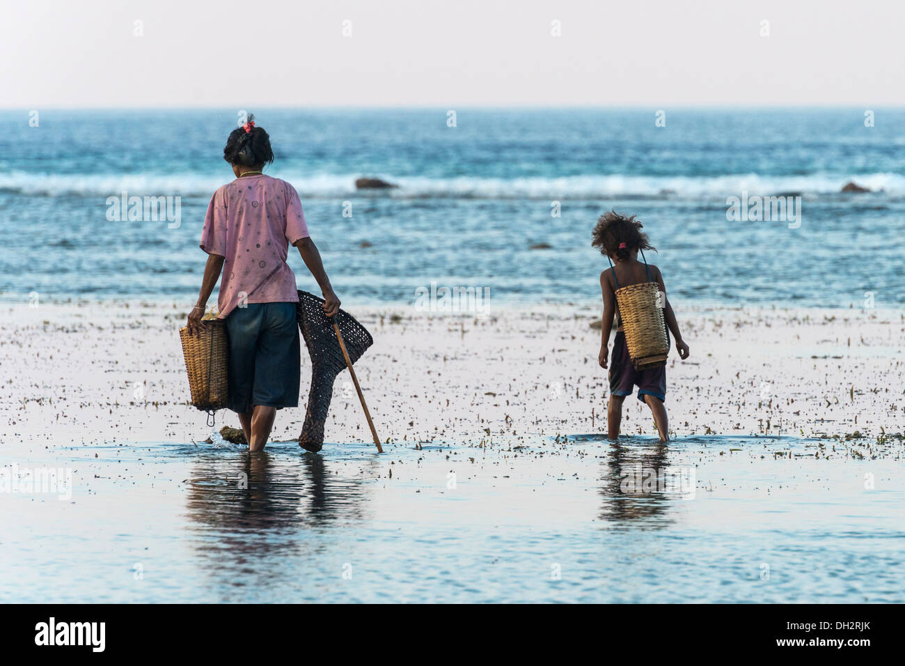 Natives collecting Agar Algae, Pantar, Alor Archipelago, Lesser Sunda ...