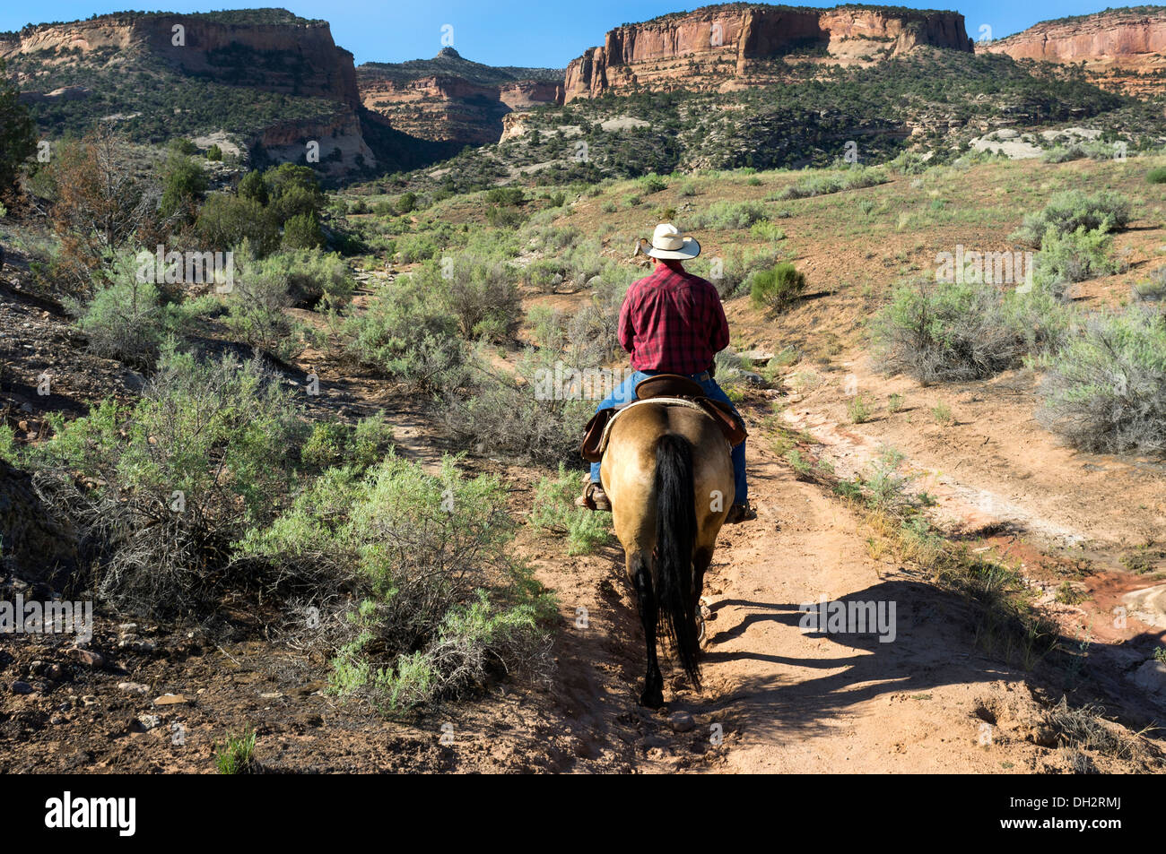 Modern day cowboy on horseback riding his horse in the desert near the ...