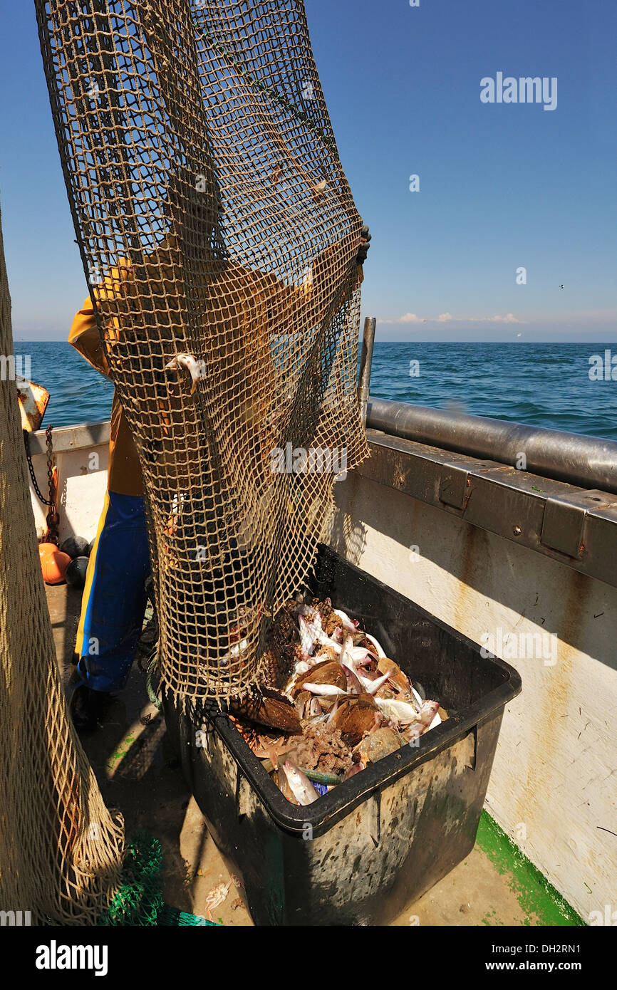 Trawling Fishing Boats, Adriatic Sea, Piran, Slovenia Stock Photo - Alamy
