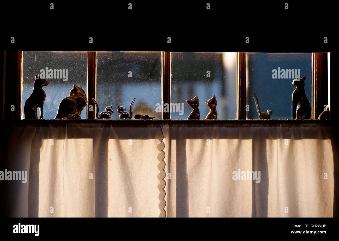 Cats on display in window of house in Thaxted, Essex, England. October ...