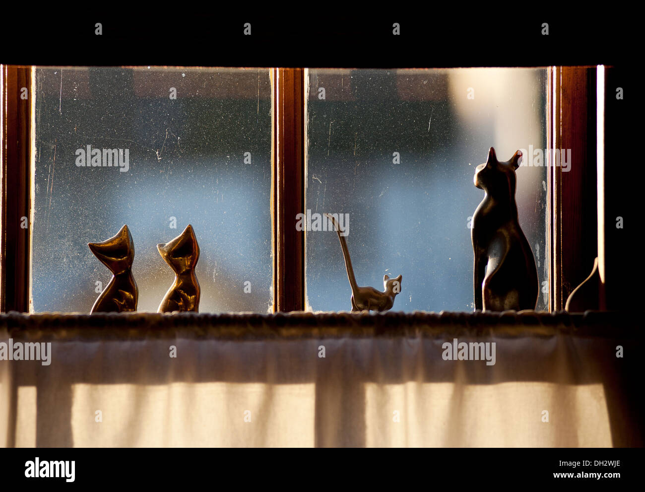 Cats on display in window of house in Thaxted, Essex, England. October ...