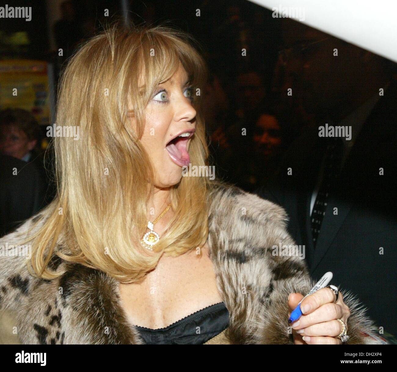 Goldie Hawn At The Presentation Event Of Her New Film The Banger Sisters In Hamburg Stock