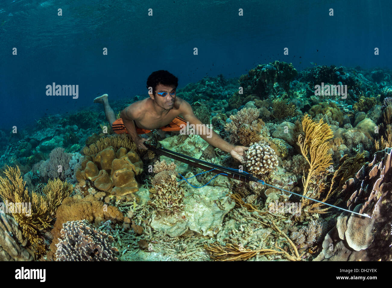 Lesser sunda islands hi-res stock photography and images - Alamy