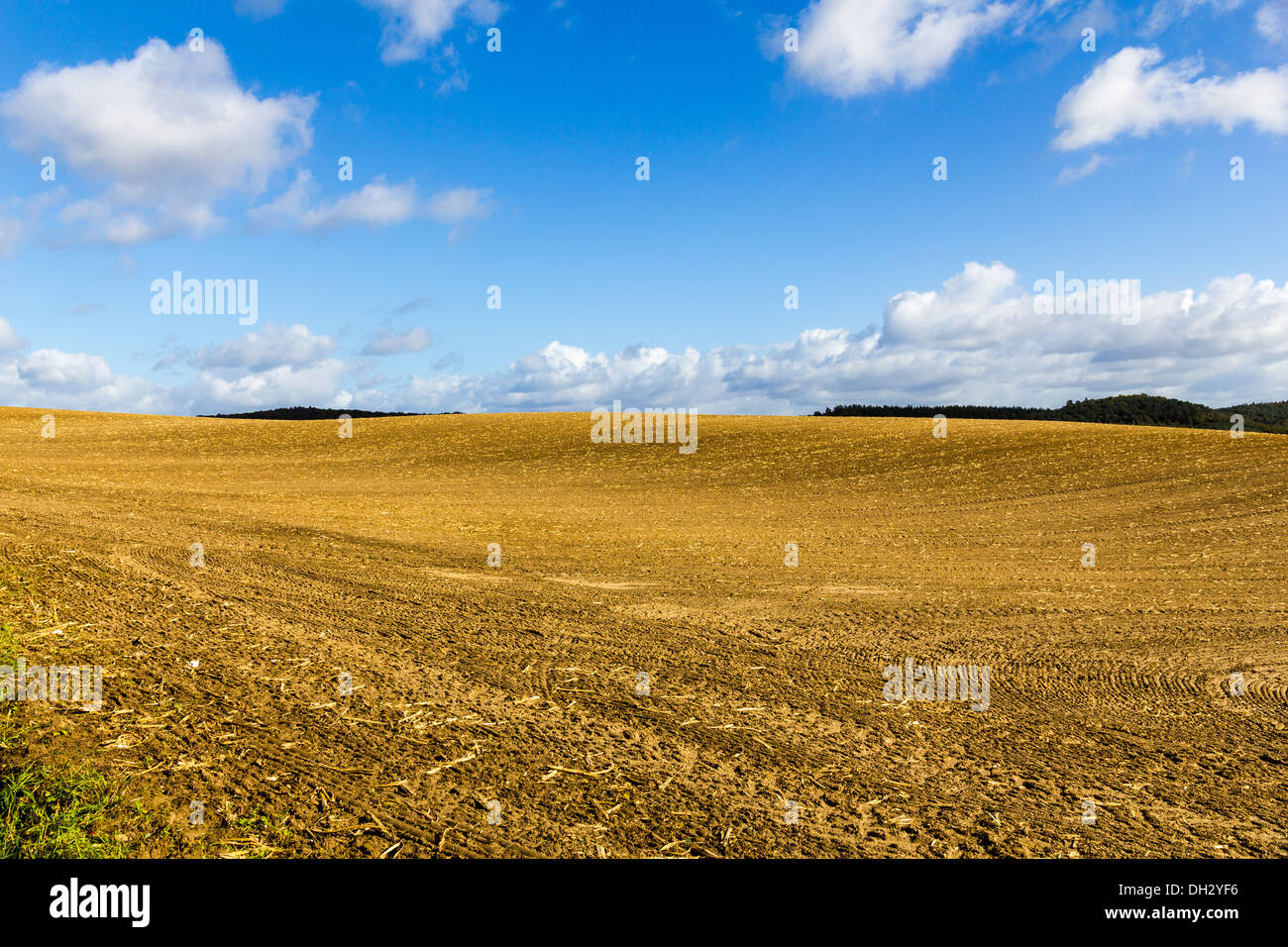 havest field with blue sky Stock Photo - Alamy