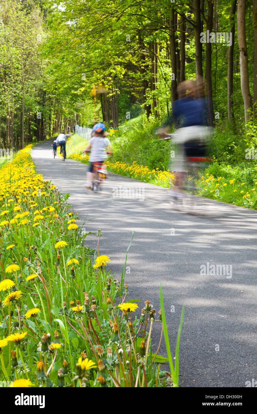 Family bicycle forest happy boy riding hi-res stock photography and ...