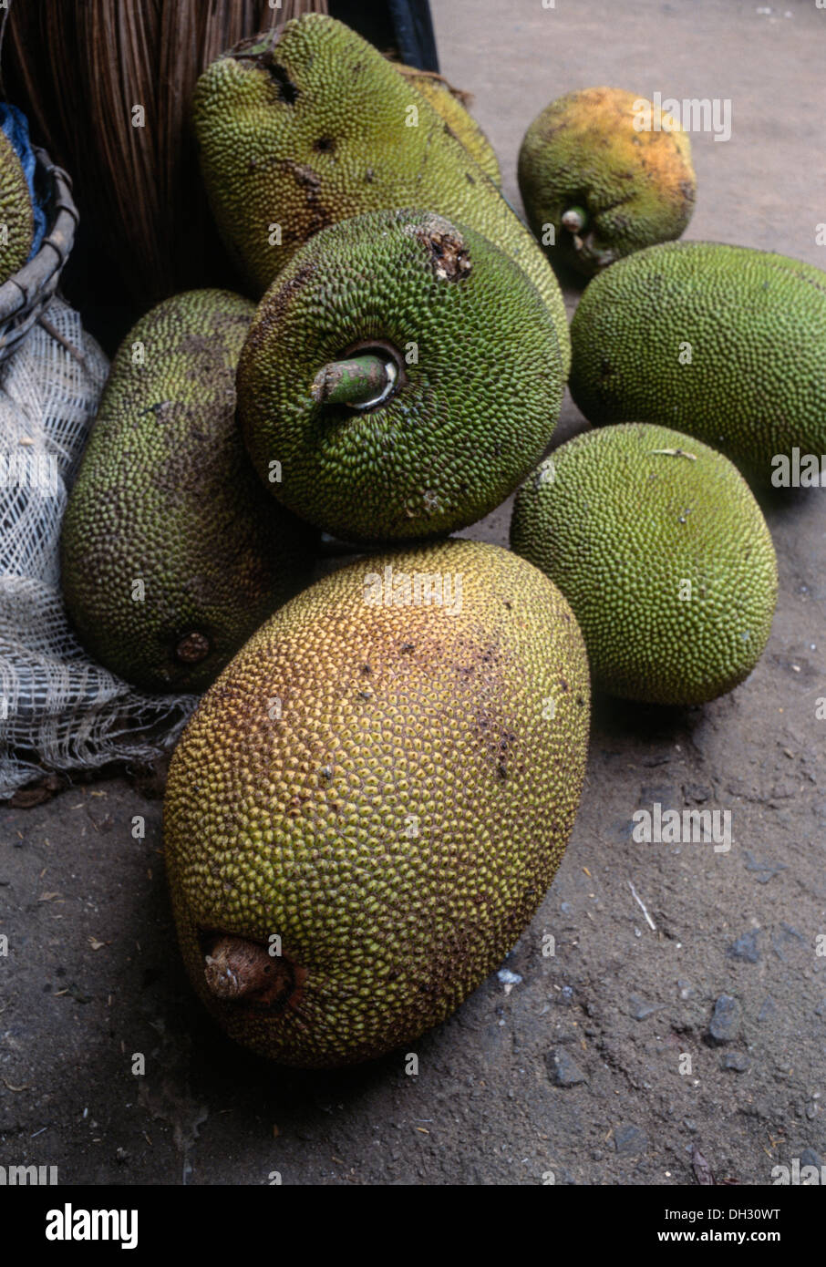 Rind durian hi-res stock photography and images - Alamy