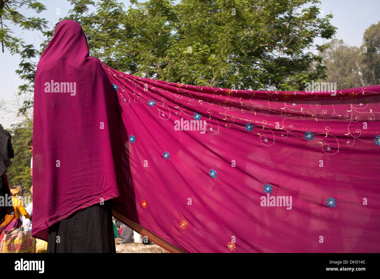 Woman drying saree Haridwar Uttarakhand India Asia Stock Photo - Alamy