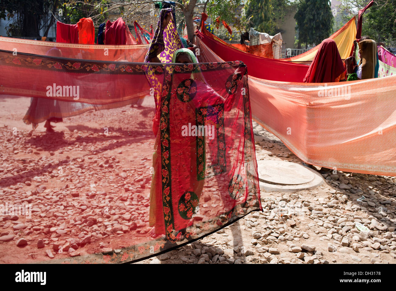 Woman drying saree hi-res stock photography and images - Alamy