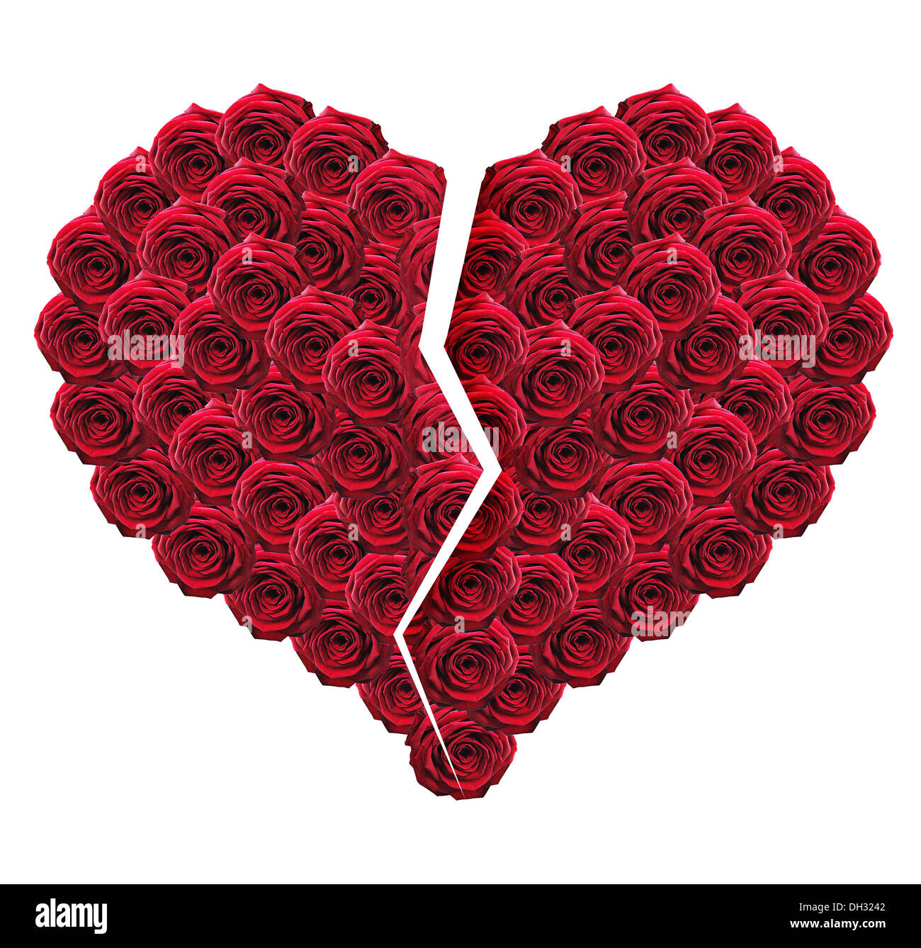 Broken heart plant Cut Out Stock Images & Pictures - Alamy