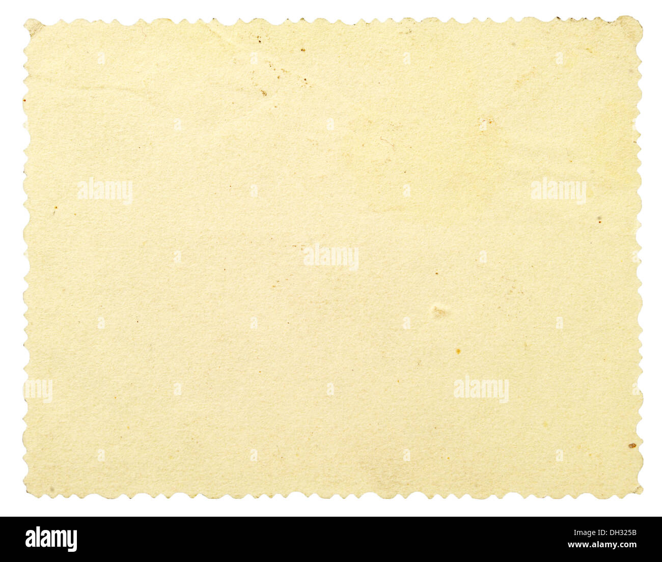 Reverse side of an old photo with a decorative border, isolated on ...