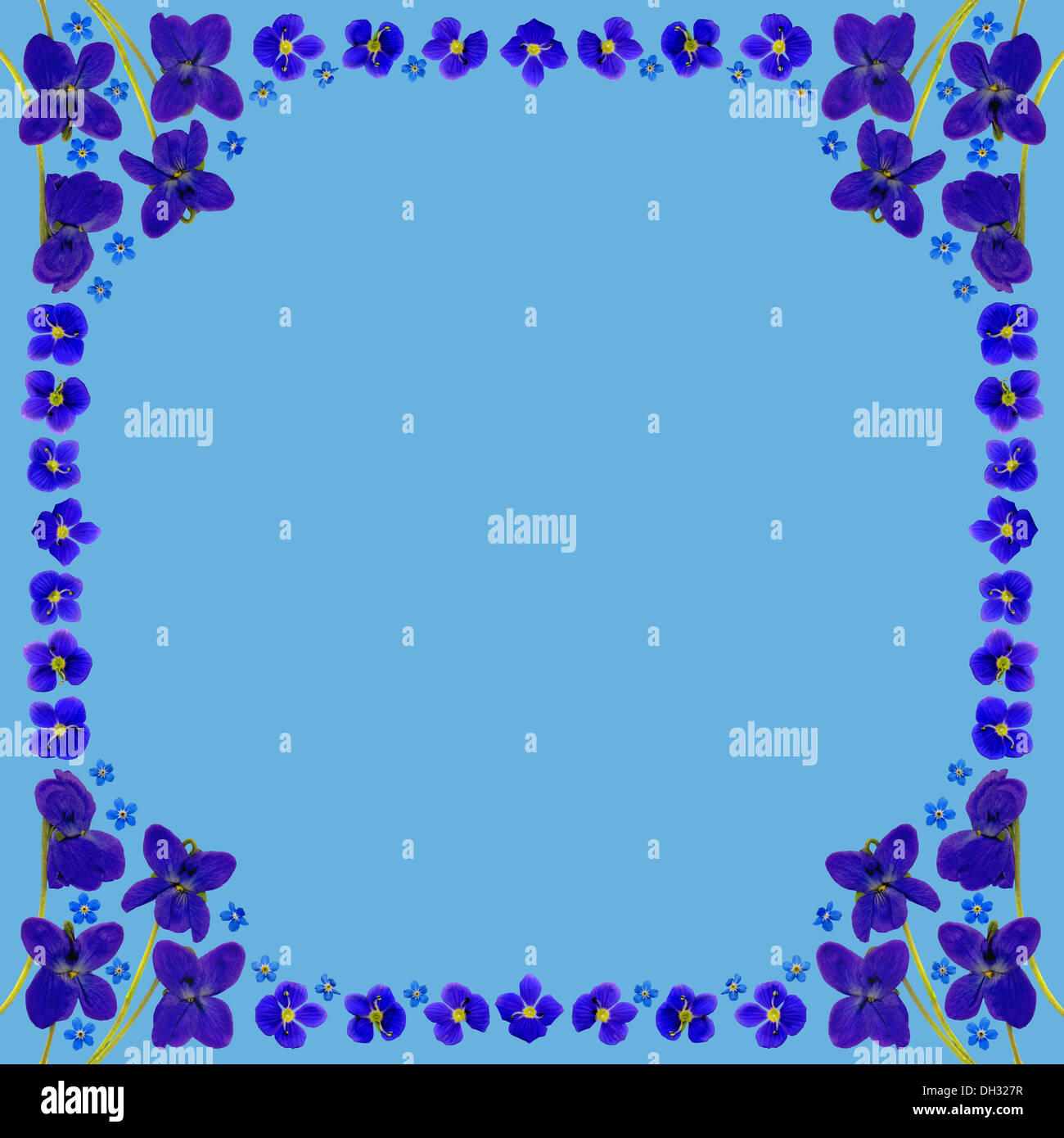 Square frame flowers hi-res stock photography and images - Alamy